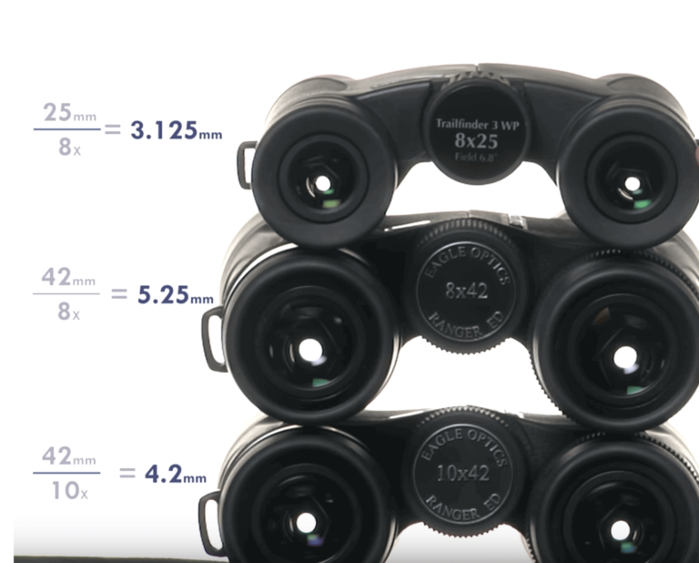 Understanding Binoculars Field of View | BINOCULARS GUIDES