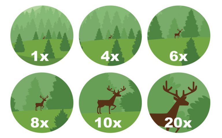 Understanding Binocular Magnification - Binocular Magnification Guide ...