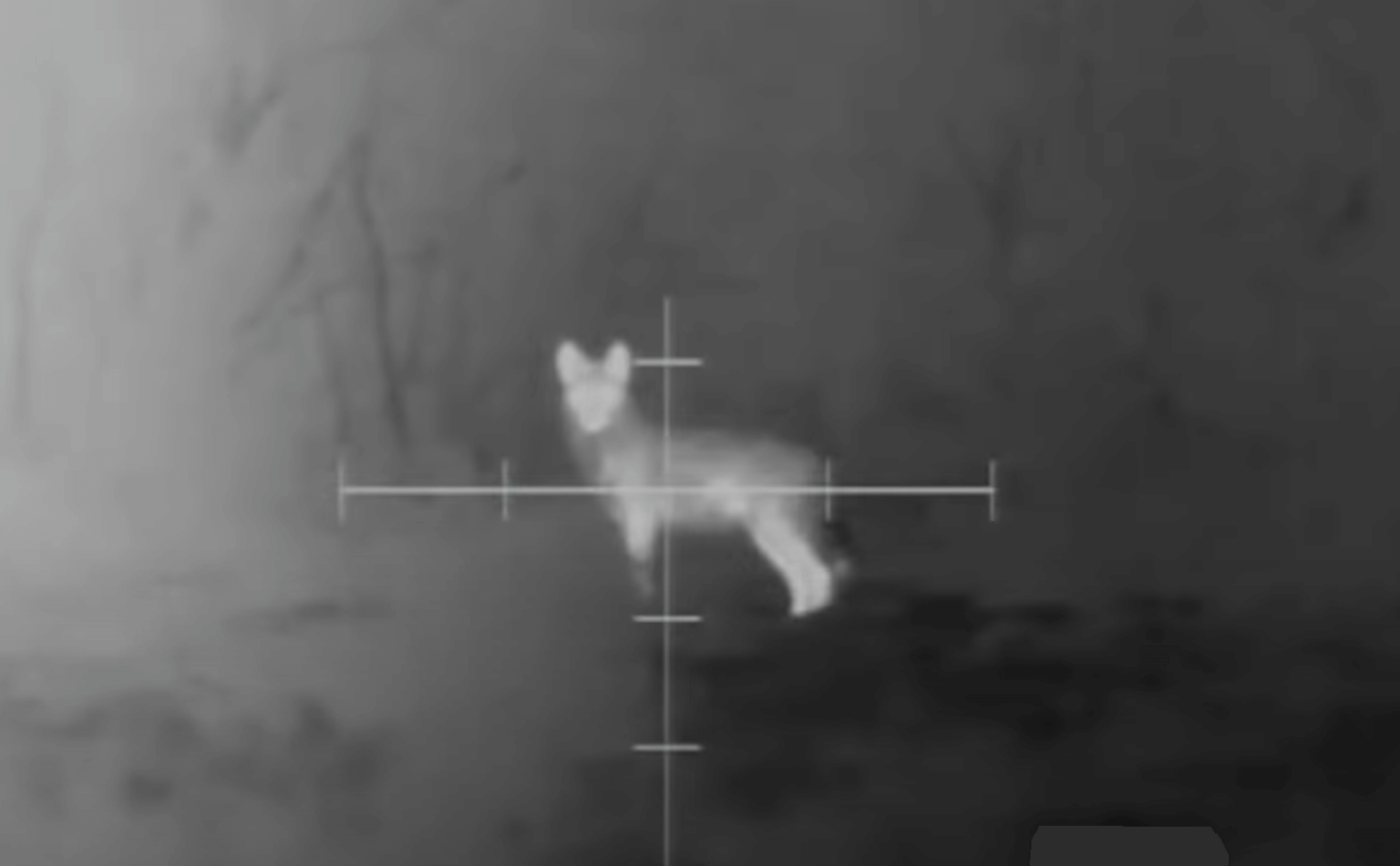 How to Choose a Night Vision Device: Definitive Guide | BINOCULARS GUIDES